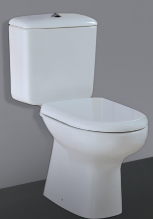 Save 20% | Buy RAK Liwa Ivory Close-Coupled Toilet Suite, S-Trap 140 Online